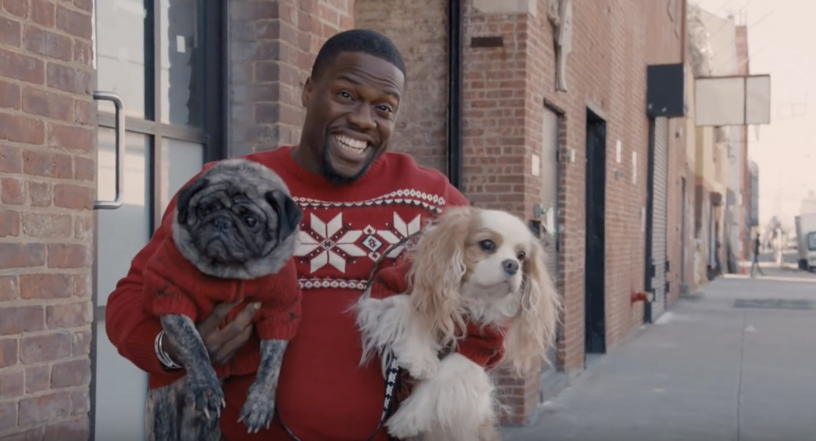 Oz Rodriguez – Creators Are Us